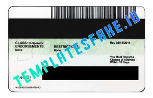 Arizona DL - Templates Fake ID