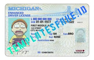 Michigan DL - Templates Fake ID