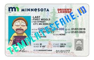 Minnesota NEW DL - Templates Fake ID