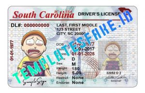 South Carolina DL - Templates Fake ID