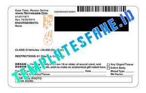 Tennessee DL - Templates Fake ID